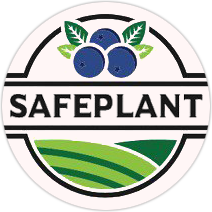 SafePlant